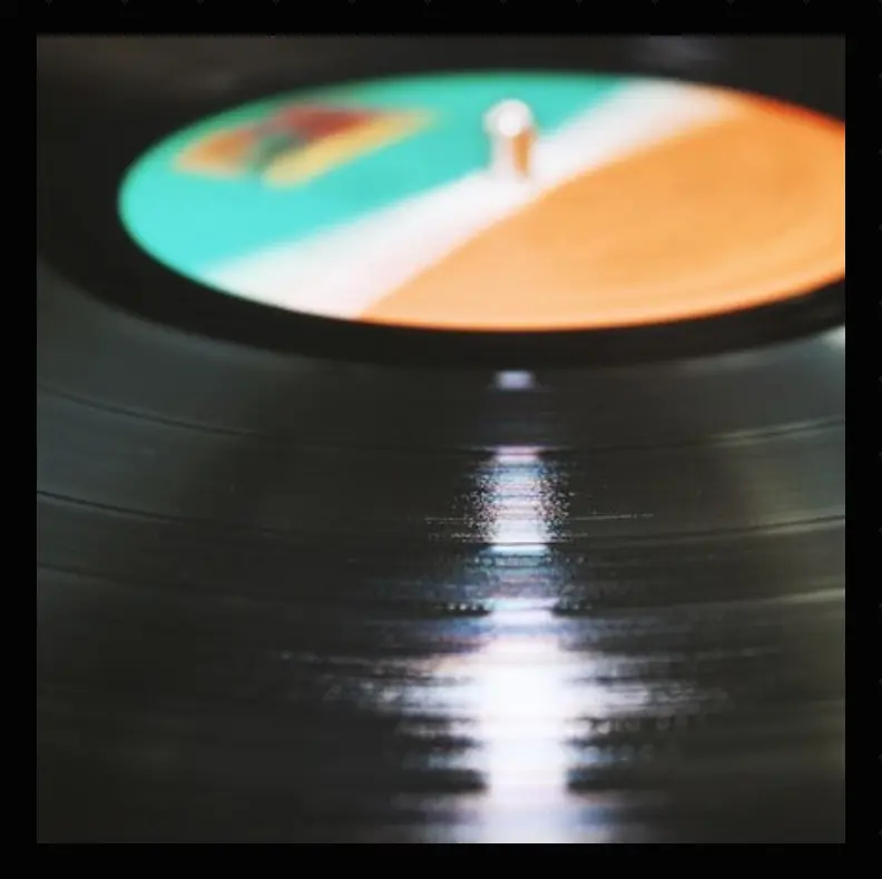 Fred Wedlock - Oldest Swinger In Town - 45 RPM Vinyl Record | Rock-Ola